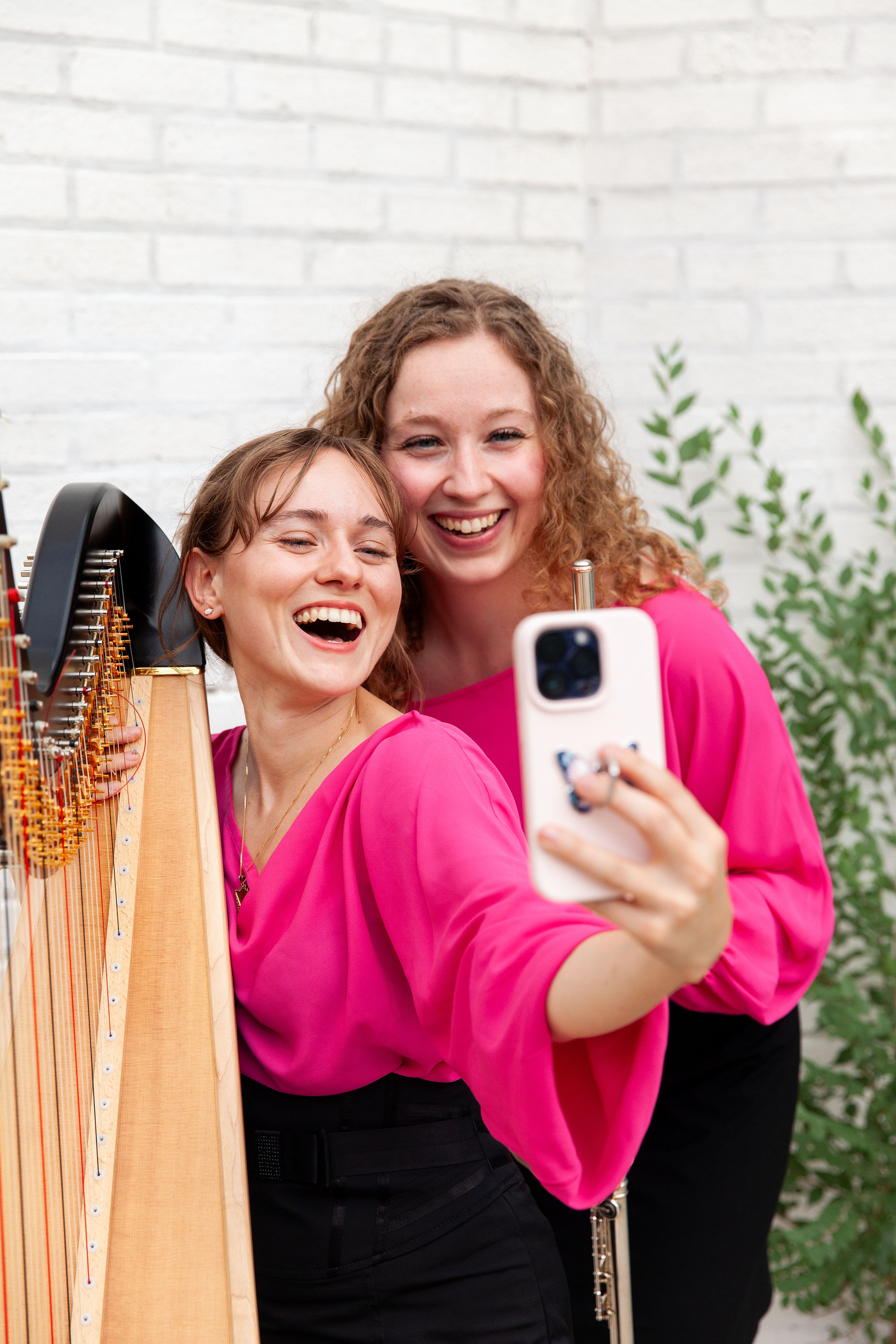 Gallery – Duo Dahlia